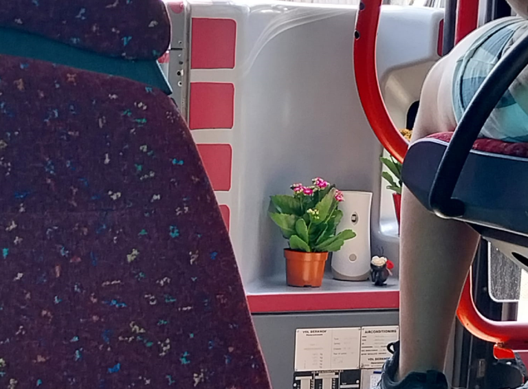 B365 - Atmosferă plăcută într-un autobuz STV: Șoferul a adus o floare ...