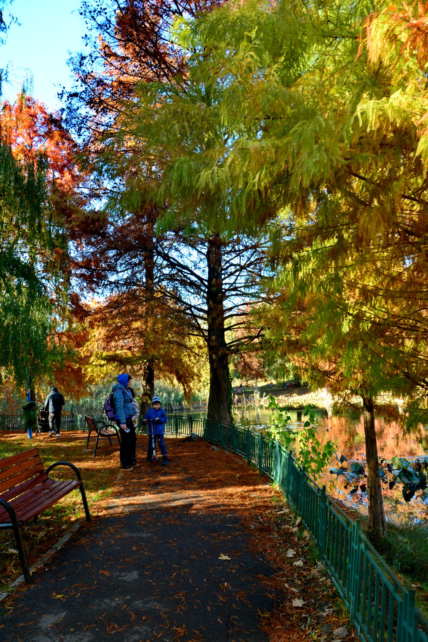 B365 - FOTO | 10 imagini superbe de sfârșit de toamnă în București, în ...