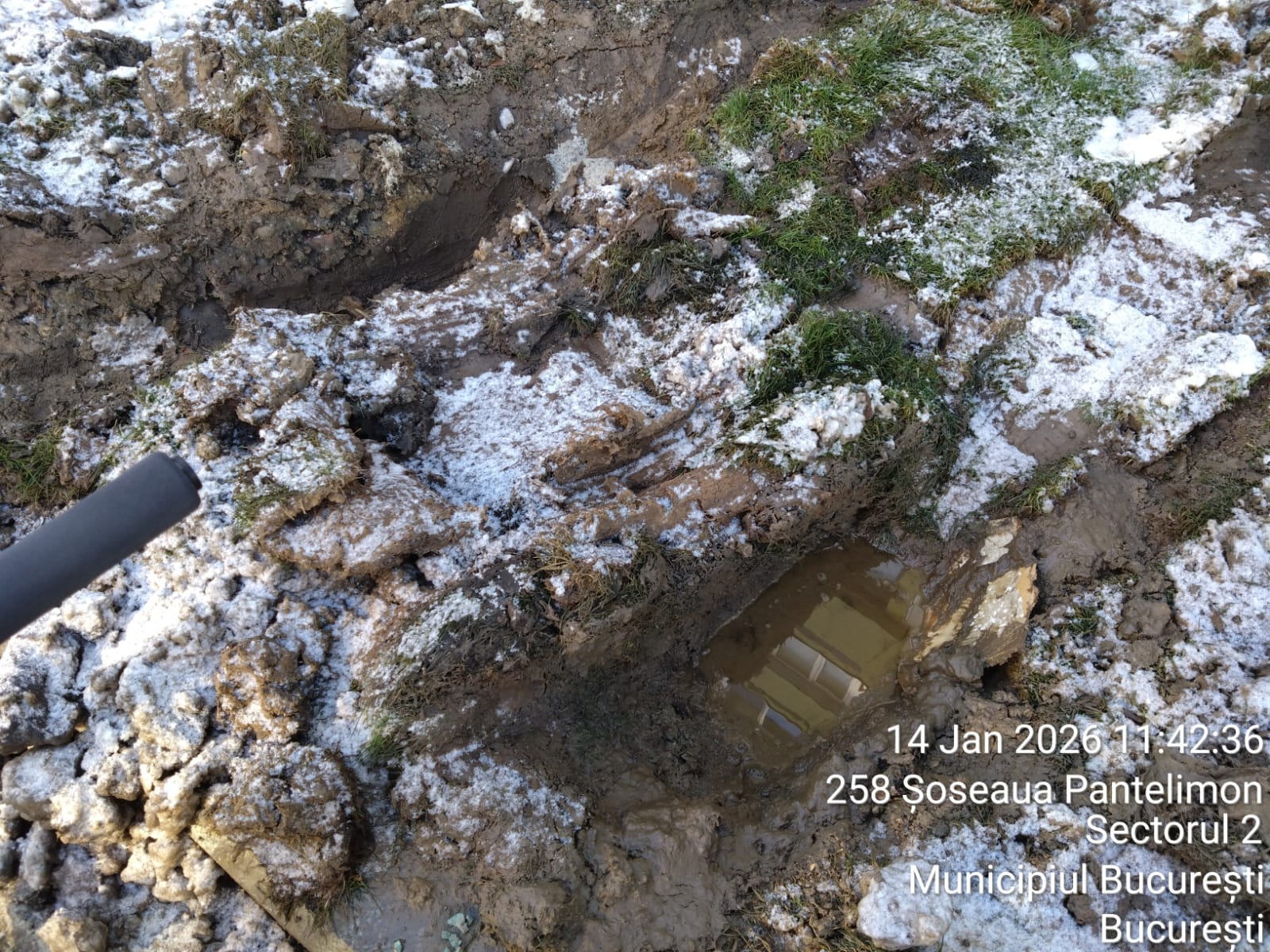 B365 - FOTO | Spațiu verde de pe Șoseaua Pantelimon, distrus de ...