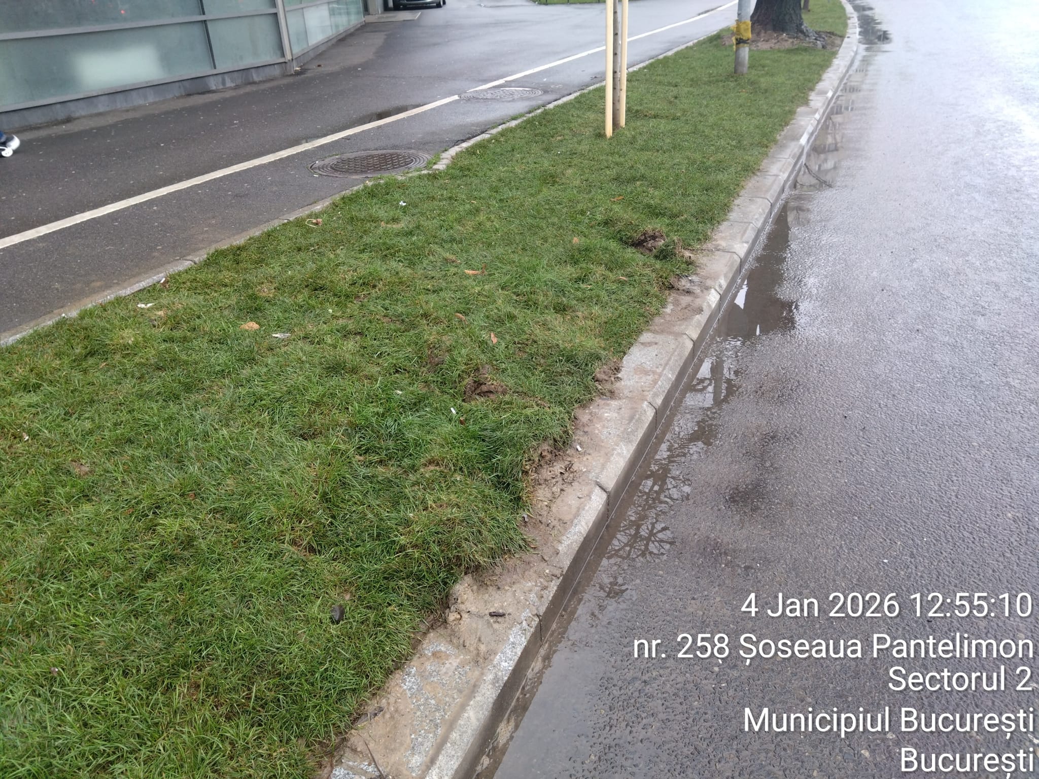 B365 - FOTO | Spațiu verde de pe Șoseaua Pantelimon, distrus de ...