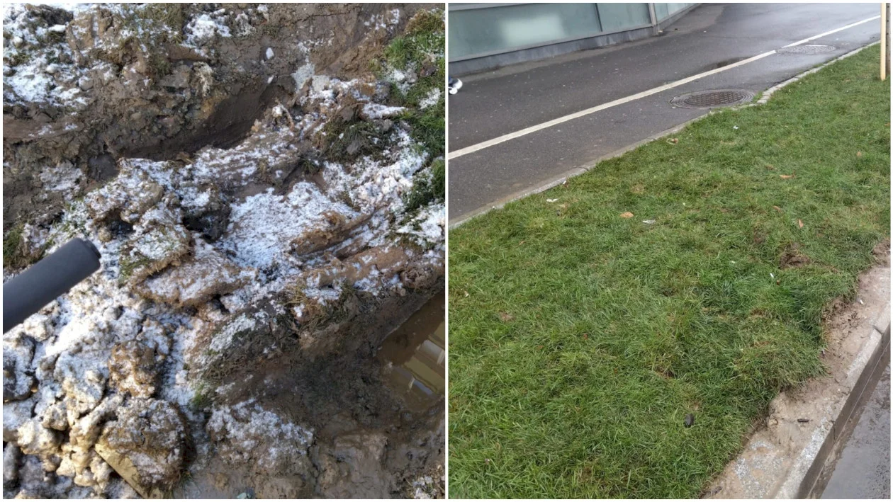 B365 - FOTO | Spațiu verde de pe Șoseaua Pantelimon, distrus de ...